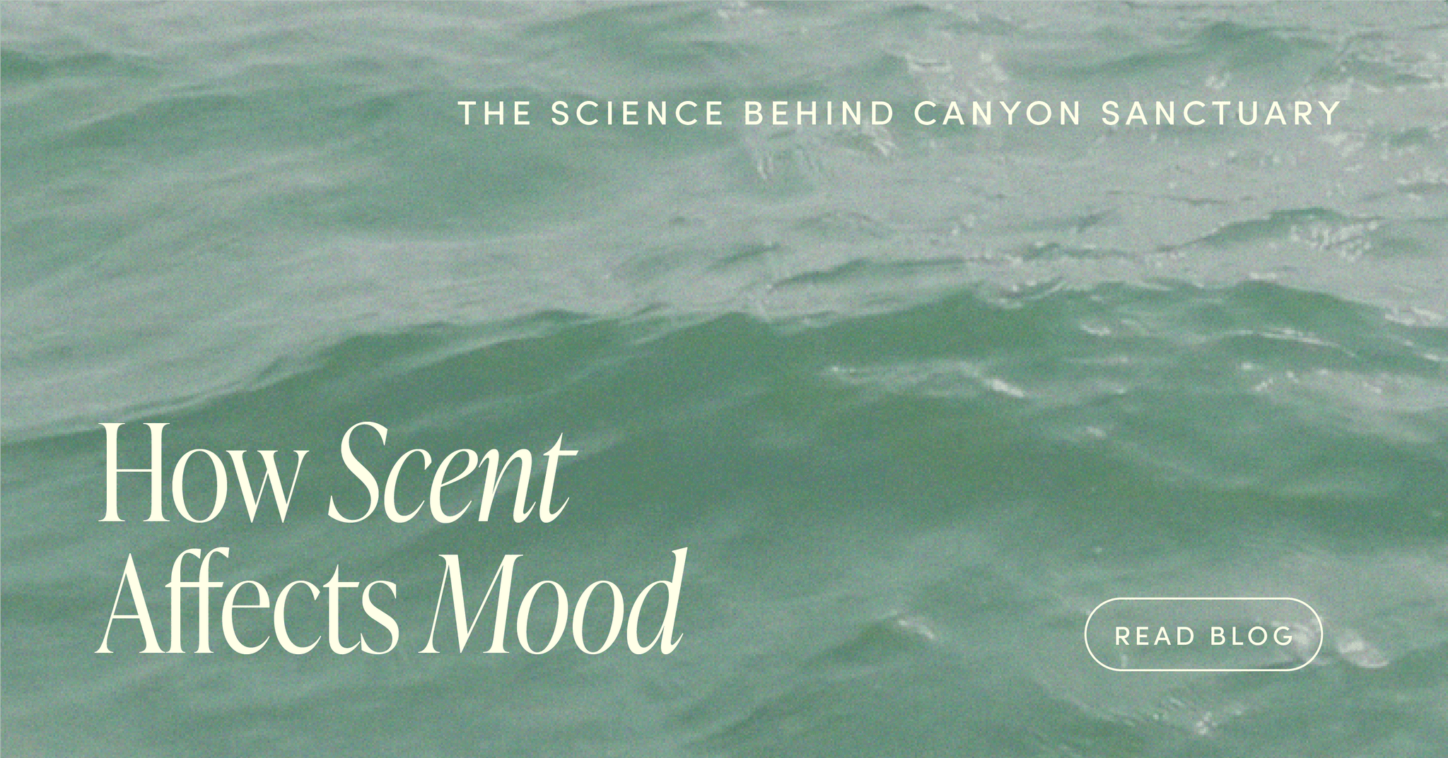 How Scents Affect Mood: The Science Behind Canyon Sanctuary